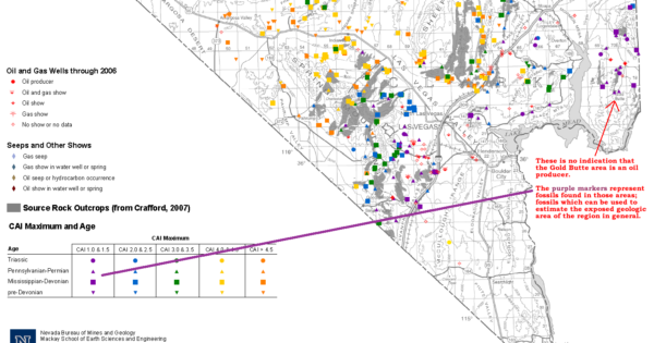 Fact Check - The Bundy Ranch Cattle & The BLM - Fact and Myth