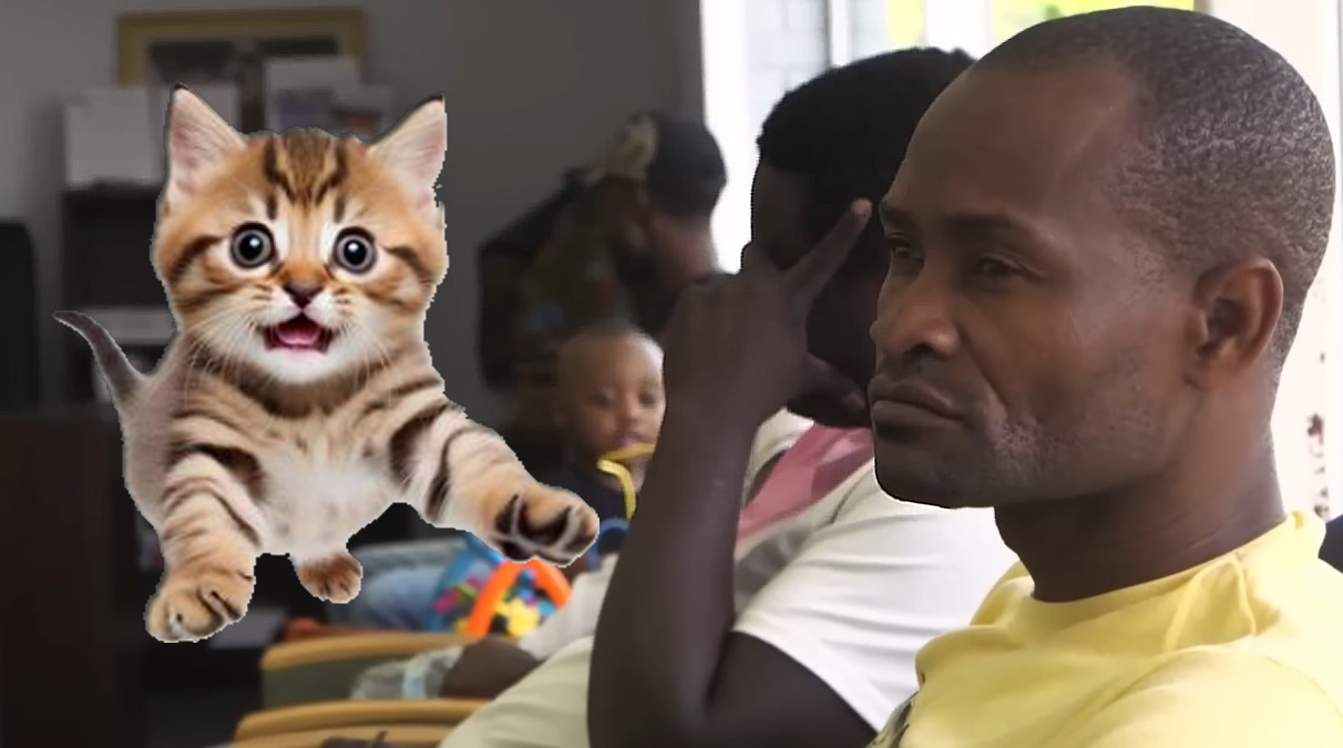 Fact Check: Are Haitian Immigrants Really Eating Cats and Dogs? - Fact ...